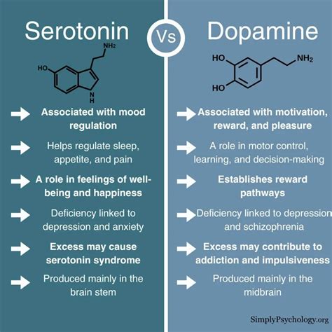 Serotonin And Dopamine The Addiction Of Social Media « Snouts In The Trough