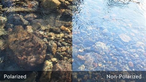 What Are Polarized Sunglasses Benefits Uses And Limitations Revant Optics