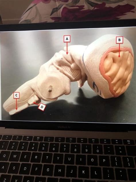 Solved А B D s UN OD Q W E R T Y Chegg
