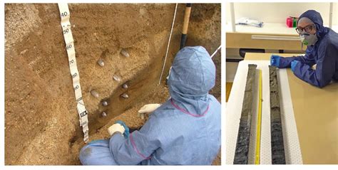 5 Introduction To Environmental Dna Introduction To Ancient Metagenomics