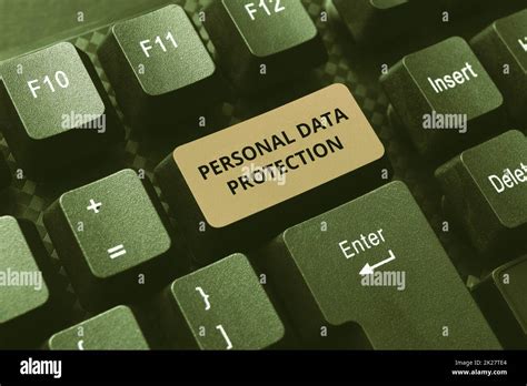 Text Showing Inspiration Personal Data Protection Business Concept Protecting And Identify