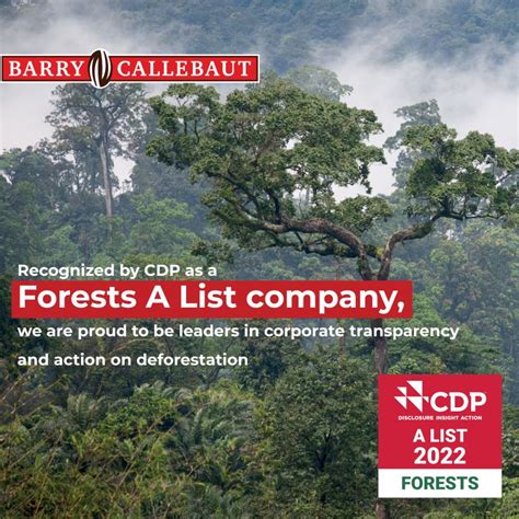 Barrycallebaut Cdpalist Netzero Forests Foreverchocolate Massimo