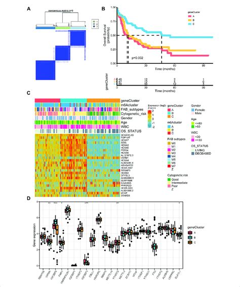 construction of differential expression of m6a gene signatures a