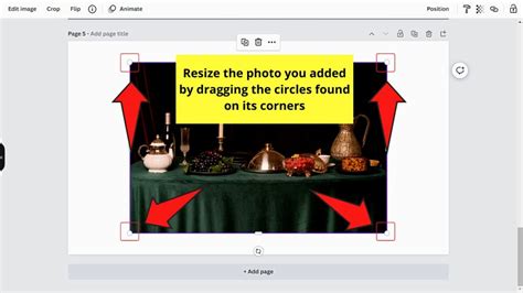 The 4 Best Methods To Fade An Image In Canva The 4 Best Methods To Fade An Image In Canva