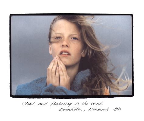 Yahooオークション Edition Olms David Hamilton Holiday Snap