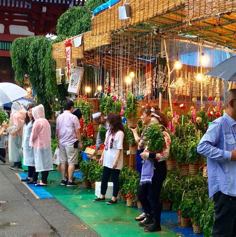 浅草寺境内で夏の風物詩「ほおずき市」が始まる ご利益なんと126年分！！ 浅草スマートニュース