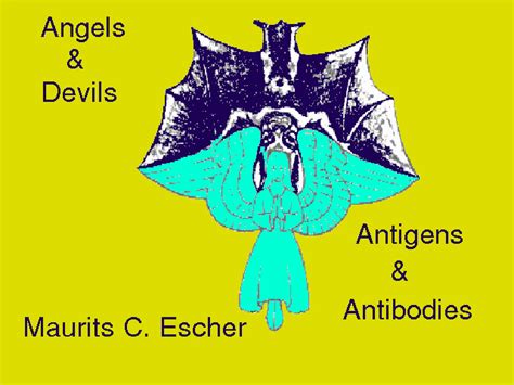 Immunoglobulin Structure And Function Ppt