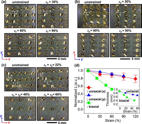 Optical Micrographs Of Stretchable Vcsel Assembly Under Uniaxial