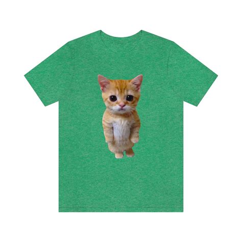 El Gato Meme Sad Crying Cat Munchkin Kitty Meme Trendy Etsy
