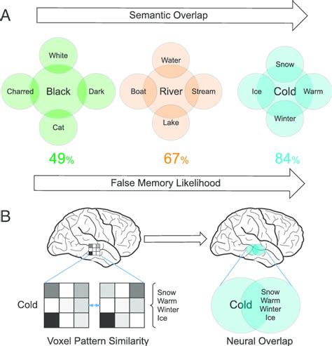 Neural Predictions Arising From The Drm False Memory Illusion A For Download Scientific