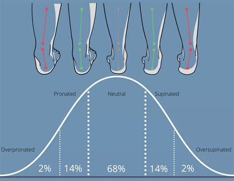 Difference Between Pronation And Supination Pronation And Supination