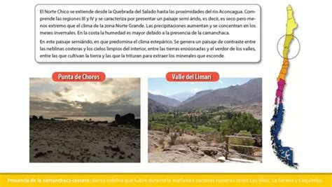 Zona Norte Chico De Chile Profesocial