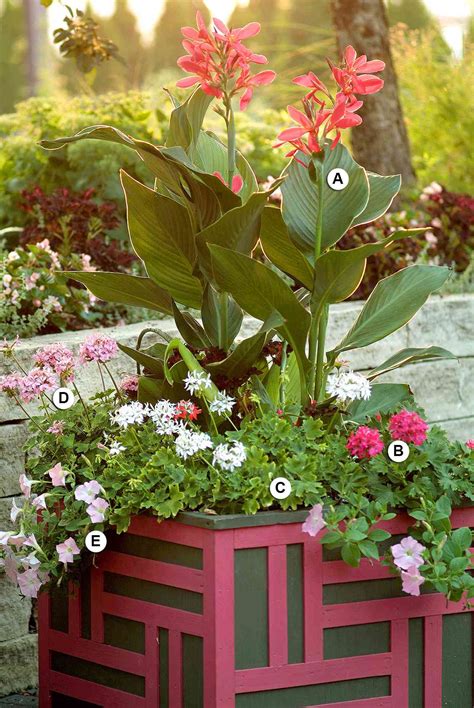 Perfect Container Pairings For Geraniums Better Homes And Gardens