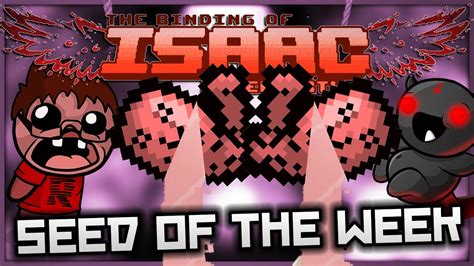 Binding Of Isaac Afterbirth Wiki Seed Motorlikos