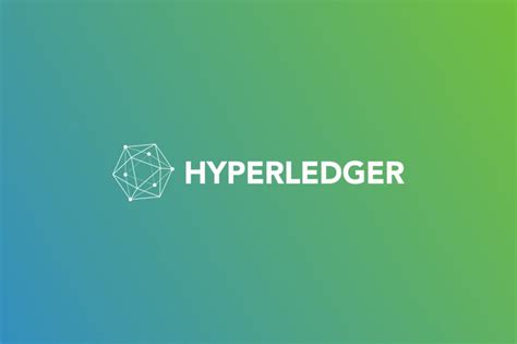 What Is Hyperledger Beginner S Guide Information Review