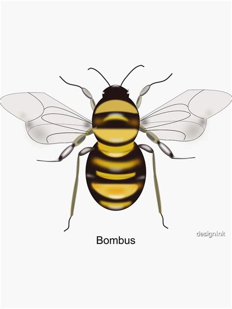 Bumble Bee Sticker For Sale By Designink Bee Art Bee Bee Sticker