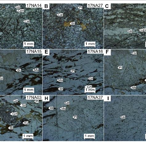 Photographs Of Samples In The Microscope A C Calc Silicate Samples