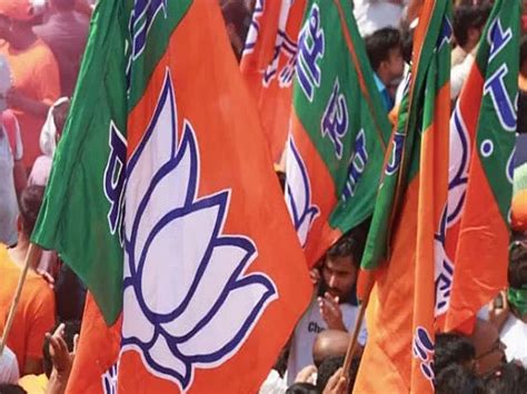 Gram Panchayat Election Result ठाणे जिल्ह्यात भाजपची मुसंडी ४२ पैकी