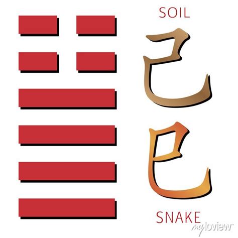 Símbolo Do Hexagrama De Ching Dos Hieroglyphs Chineses Tradução Pinturas Para A Parede