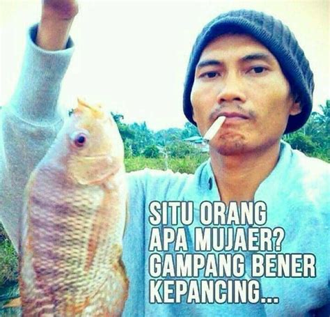 Pin Oleh Syo Di M E M E Gambar Lucu Foto Lucu Meme