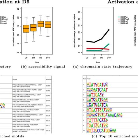 Example Clusters Of Enhancer Feature Regions During Human Pancreatic