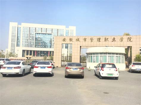 祝贺安徽城市管理职业学院餐厅建设项目圆满竣工 搜狐大视野 搜狐新闻