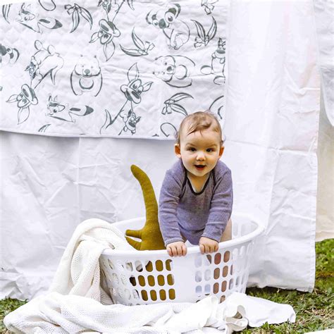 Conquering The Laundry Woes