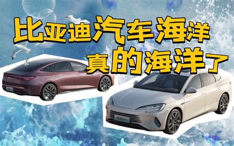 来成都咯巴适得板 比亚迪汽车海洋 比亚迪汽车海洋 哔哩哔哩视频