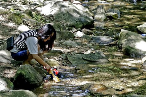 近郊山林享清凉 荆楚网 湖北日报网