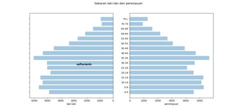 Grafik Piramida Softscients