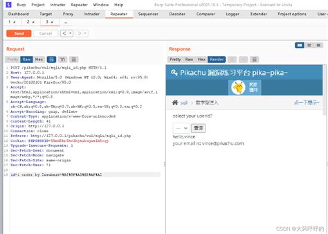 什么是SQL注入漏洞SQL注入漏洞的流程 sql注入漏洞测试流程 CSDN博客