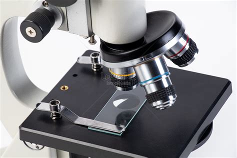 현미경 사진 무료 다운로드 Lovepik