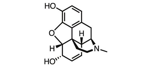Chemical Makeup Of Morphine Mugeek Vidalondon
