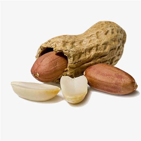 Are Peanut Shells Good For Compost Using Peanut Shells In Compost Artofit