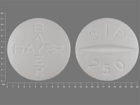 Bayer Pill Images Pill Identifier