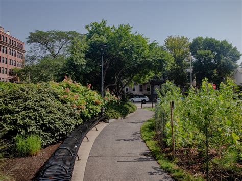 From “the New York Times” “tiny Forests With Big Benefits