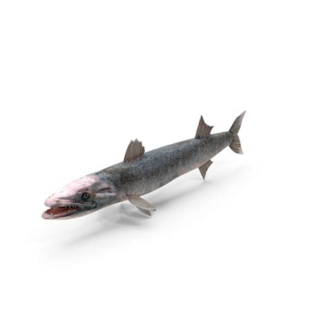 Barracuda Mail Archiver 5 3 4 0 Silent Unattended Install Png Images