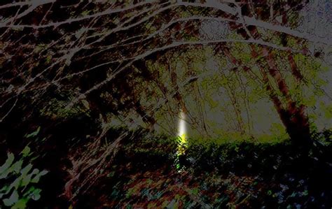 Minoru Sato Ms Selected Work Installation 2002 Redirecting Sunlight