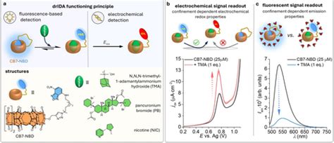 Unimolecular Cucurbit 7 Uril‐based Indicator Displacement Assay With Dual Signal‐readout For The