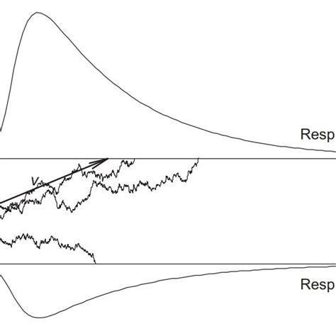 A Simple Diffusion Decision Model With Constant Drift V Starts At Z And