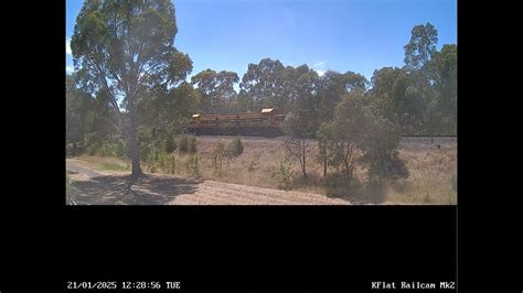 Ssr T386 T381 Grain Wagon Down 21st Jan 25 Youtube