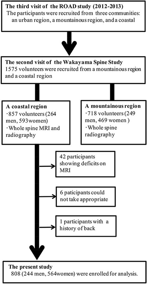 Prevalence Of Facet Effusion And Its Relationship With Lumbar Spondylo