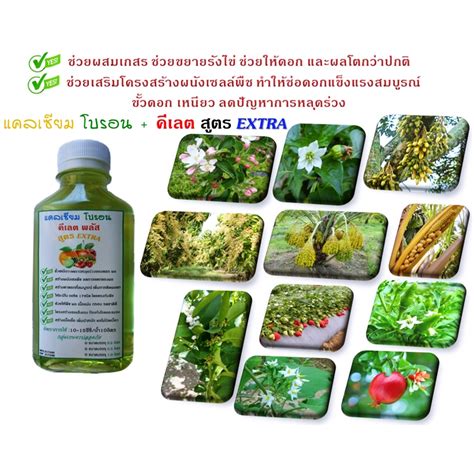 แคลเซียม โบรอน คีเลต สูตร Extra ผสมธาตุอาหารพืชครบ เร่งติดดอก ผลดก ขั้วเหนียว ลูกใหญ่ ลดต้นทุน