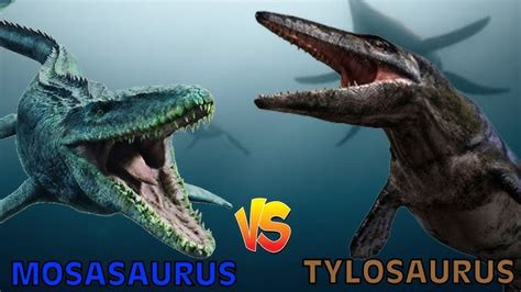 Tilosauro Contro Mosasauro