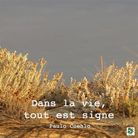Dans La Vie Tout Est Signe Dit Paulo Coehlo Coehlo Citations
