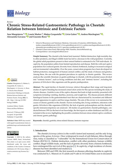 Pdf Chronic Stress Related Gastroenteric Pathology In Cheetah