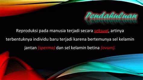 PPT MK ANATOMI SISTEM REPRODUKSI Pptx