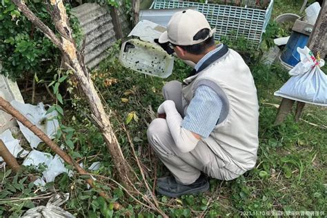 羅一鈞有望回家！台南登革熱趨緩 薛瑞元20日赴當地視察 要聞 Nownews今日新聞