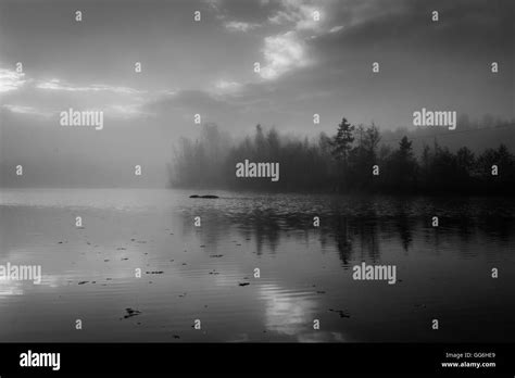 Misty Morning At Lake Stock Photo Alamy