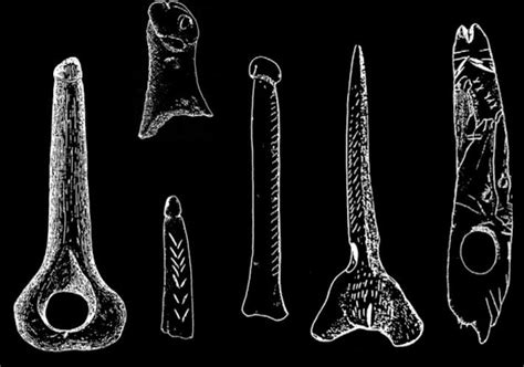 30 000 Year Old Phallic Decorations Give Insights Into Ancient